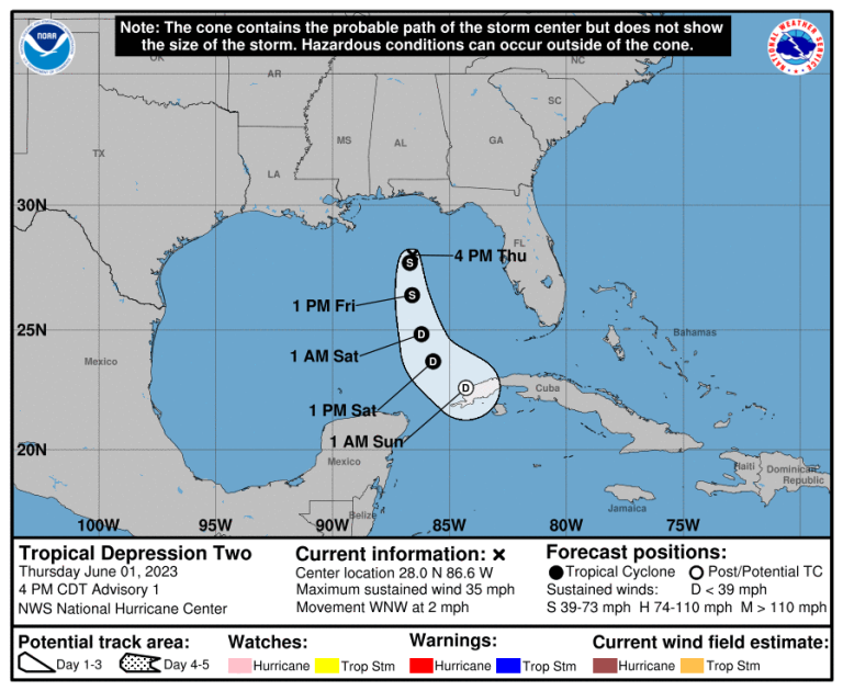 Tropical Depression 2 forms in the Gulf, expected to move south ...
