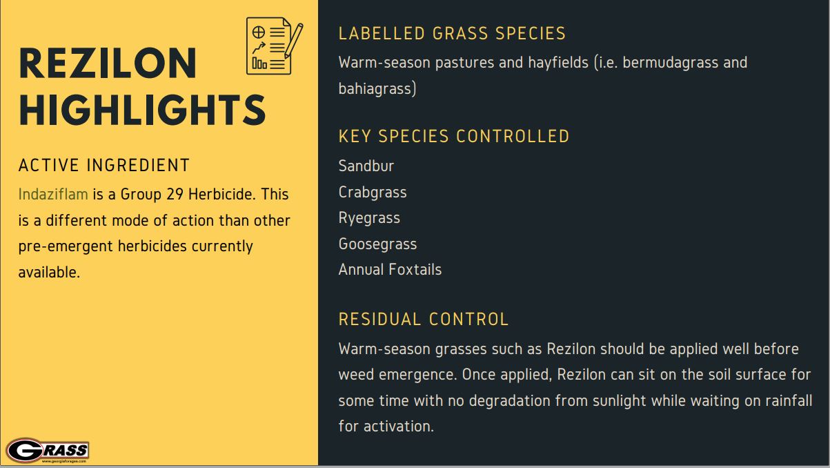 What about ryegrass control in hayfields? | Colquitt County Ag Report