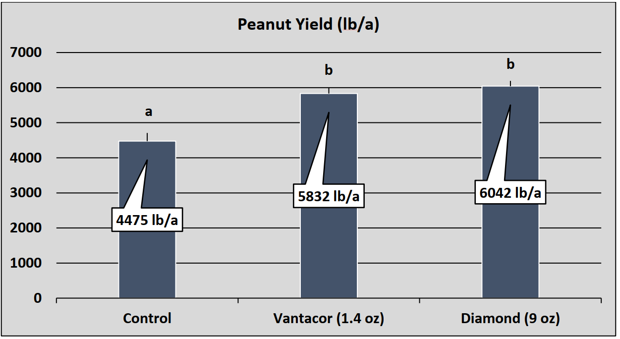 Lesser Cornstalk Borer in Peanuts Reminder | UGA Extension Cook County