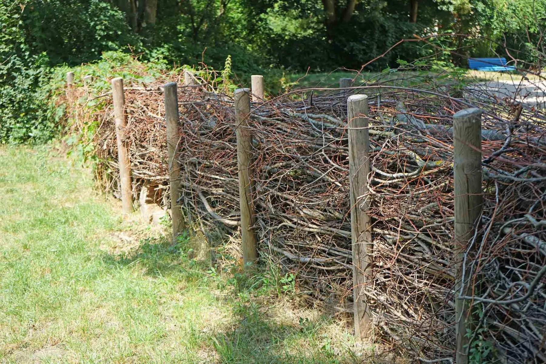 Building A Dead Hedge Enhance Your Garden With A Unique Winter Project Dig Into Dekalb County
