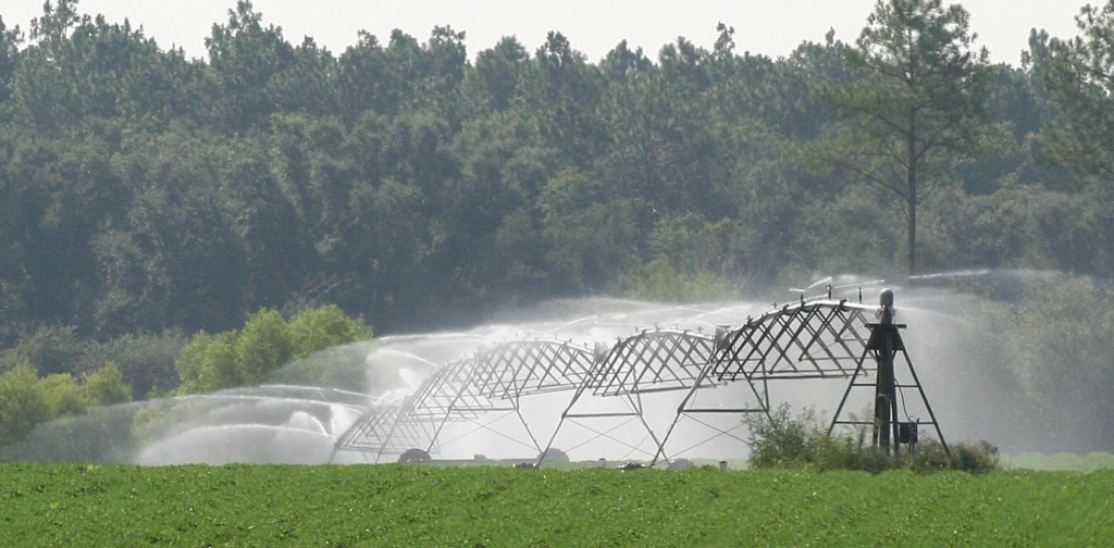 Irrigation Challenges During the Current Drought | Candler-Evans Ag Updates