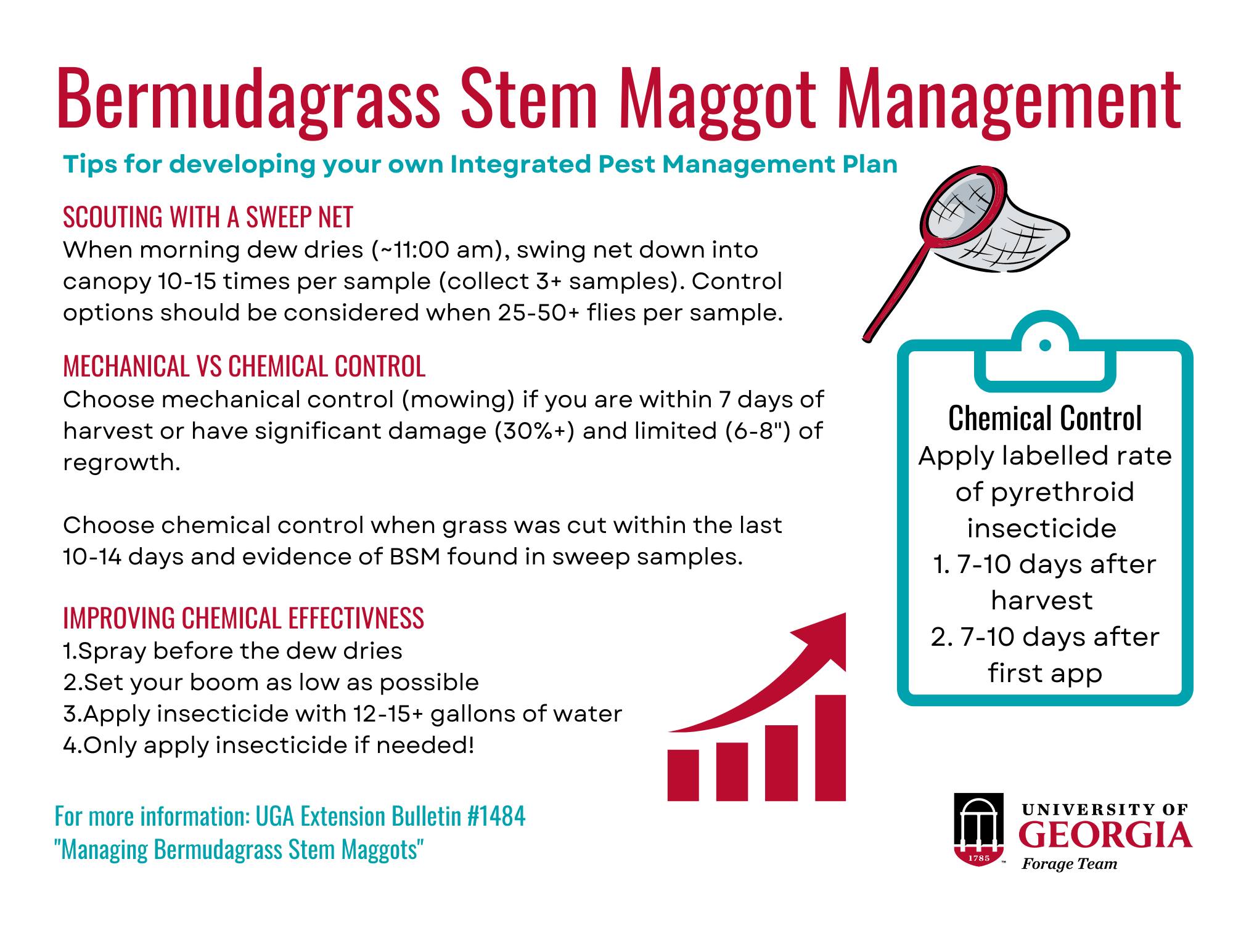 Forage Insect Pests | UGA Forage Extension Team