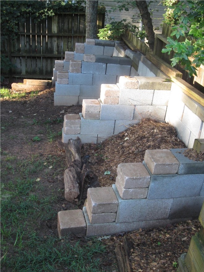 Tips for Raising Chicks | UGA Extension Forsyth County