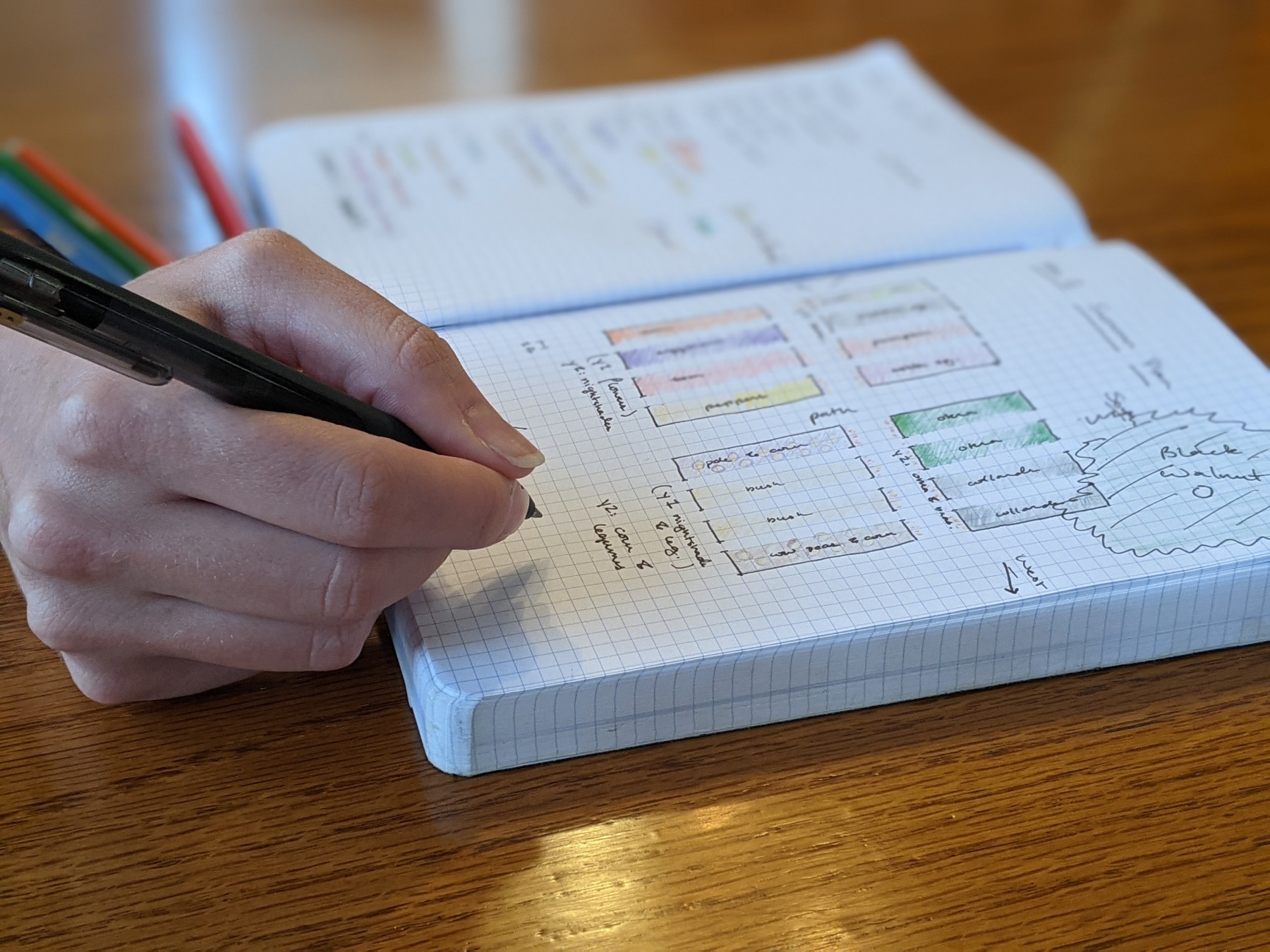 Making the Most of Microclimates | UGA Extension Forsyth County