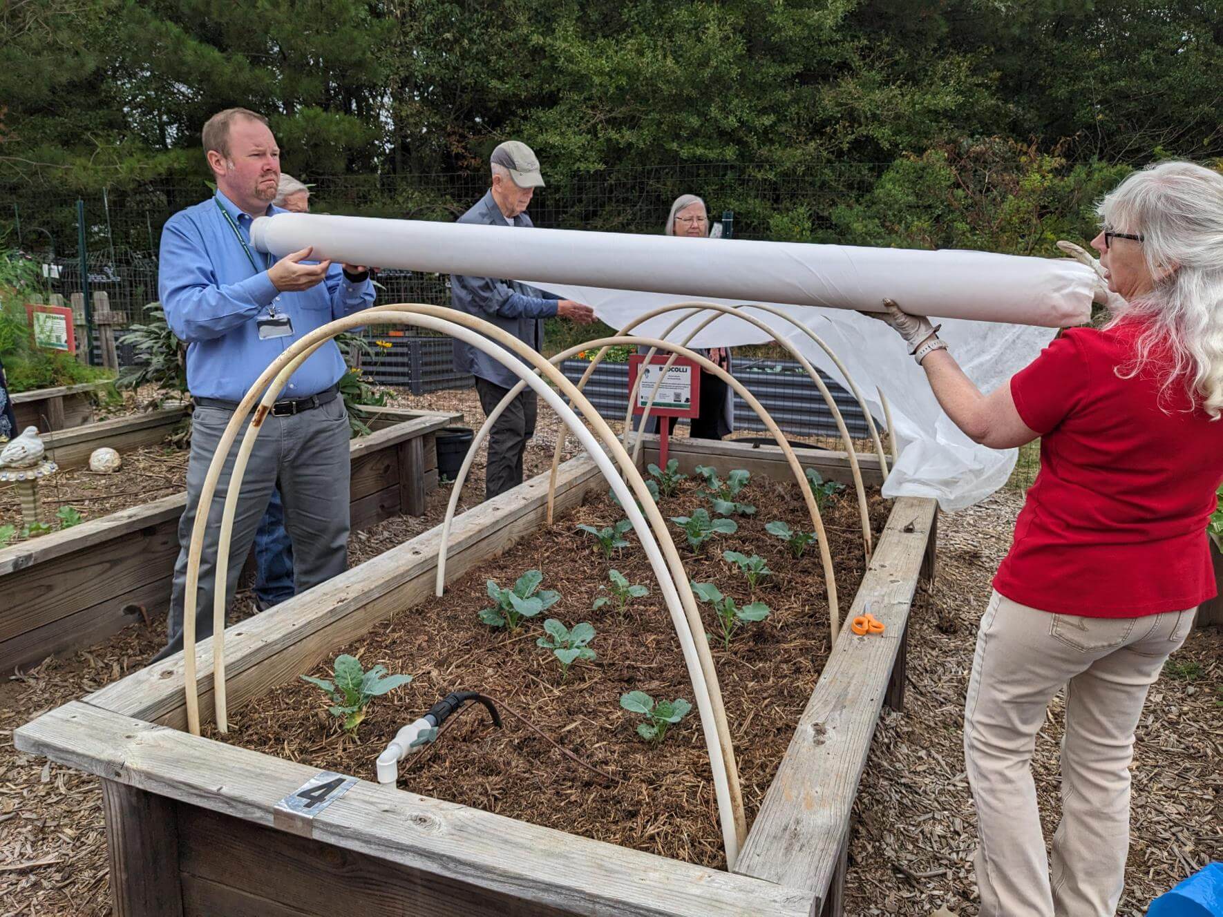 Low hoop houses can extend the growing season | UGA Extension Forsyth ...