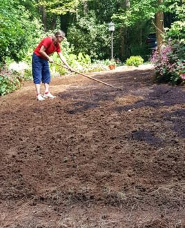 Soil preparation essential for sod success | UGA Extension Forsyth County