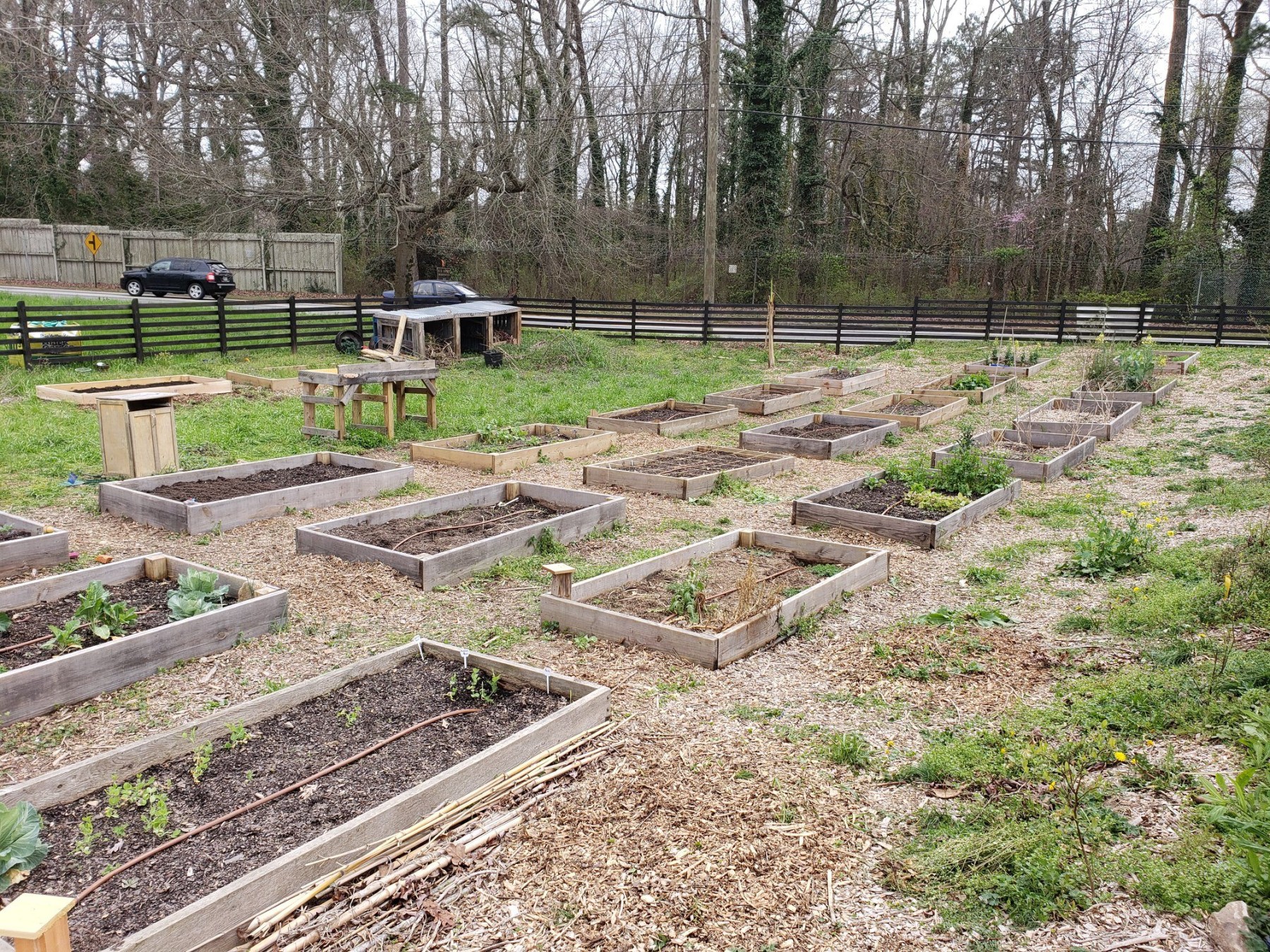 My Community Garden Story | Fulton From the Ground Up