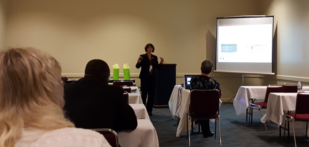 GACAA Members Present and Receive Recognition for Award Winning ...