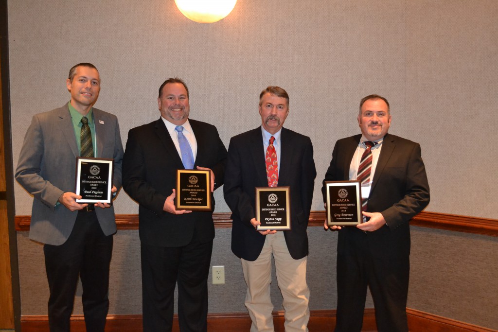 GACAA Award Opportunities: YP, AA, and DSA | Georgia Association of ...