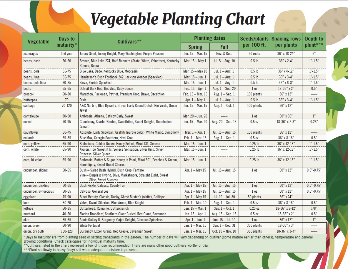 Spring Planting is Fast Approaching! | Glynn and McIntosh Agriculture ...