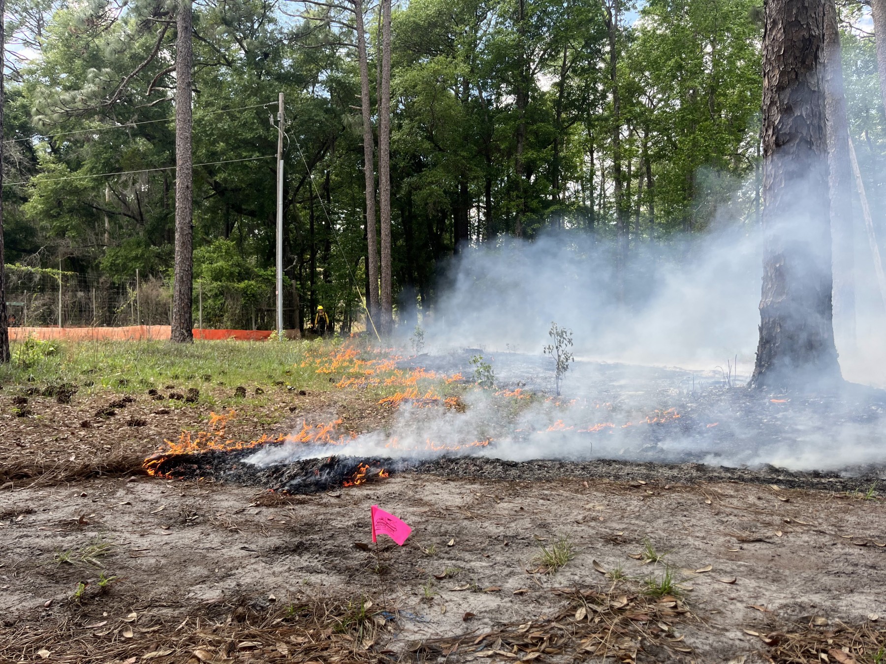 What’s on fire?! – It is probably a Prescribed Burn | Glynn and ...