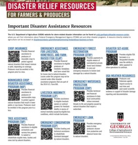 Resources Following Hurricanes Helene and Milton | Glynn and McIntosh ...
