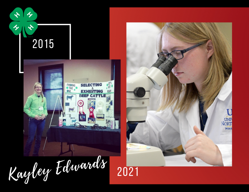 4-H Alumni Spotlights | The Bell Ringer