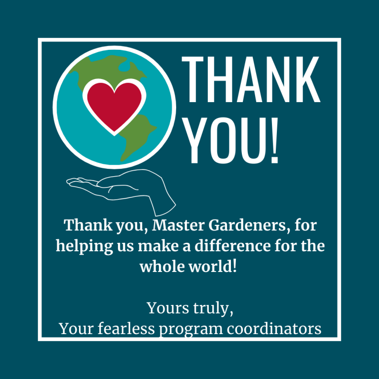 Thank you for a great week! | Trellis Blog