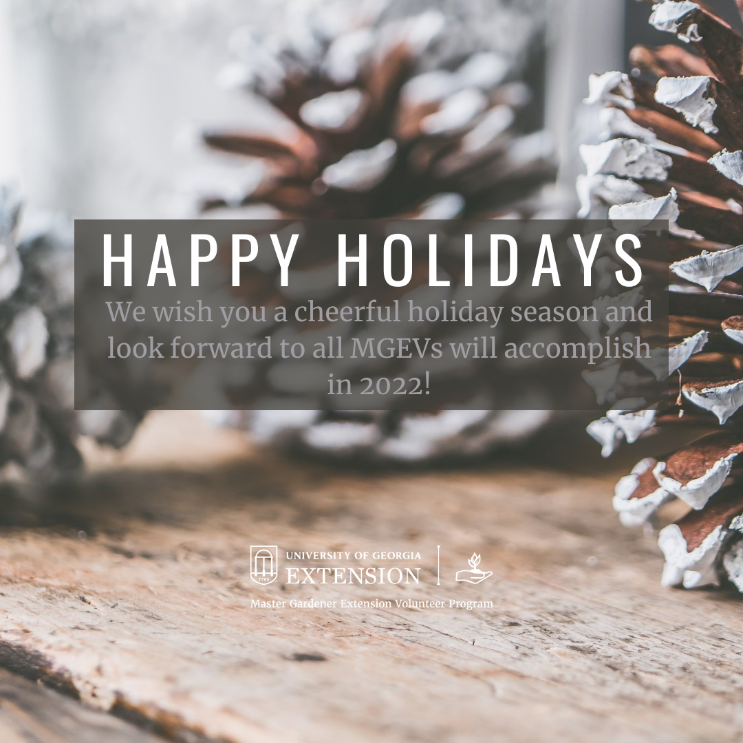 Wishing you a joyous holiday season! | Trellis Blog