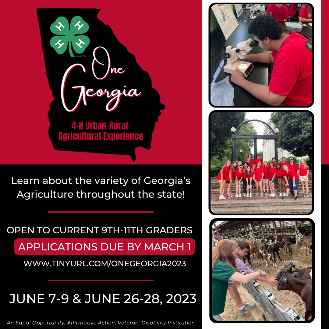One Georgia | Extension / 4-H Military Outreach Programs