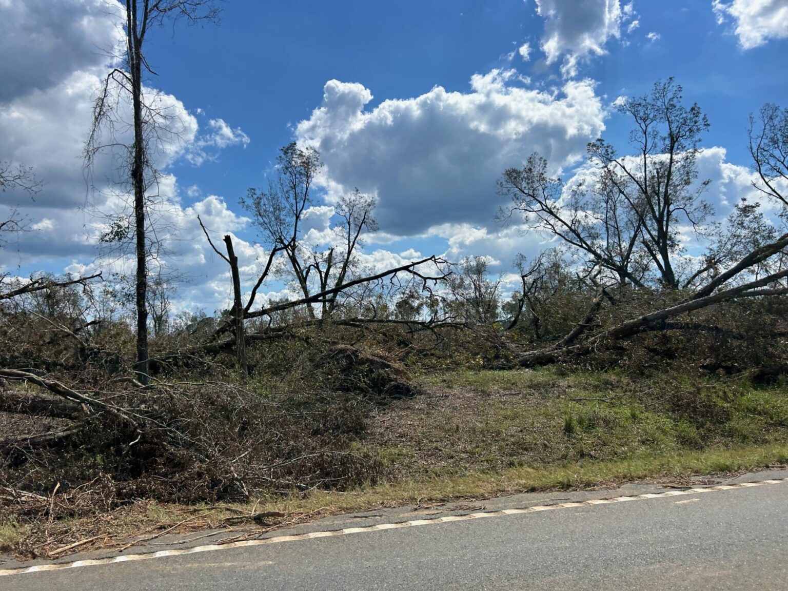 Update on Hurricane Helene Impact on Georgia Pecans | UGA Pecan Extension