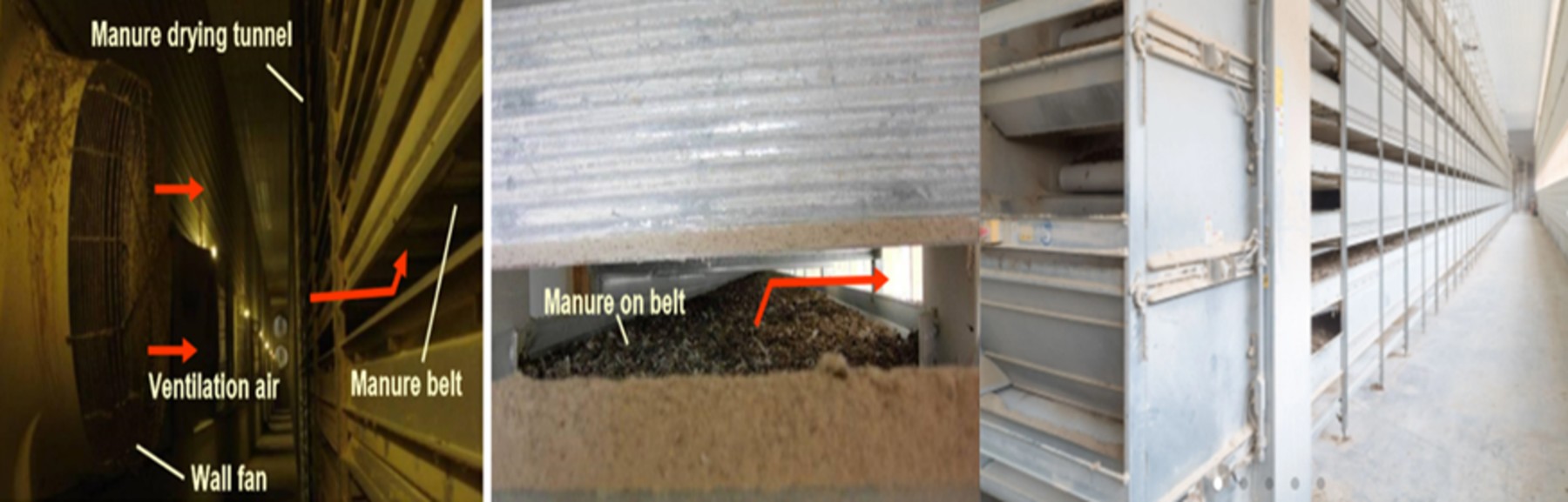 Manure Drying Methods in Layer Houses | Poultry Tips