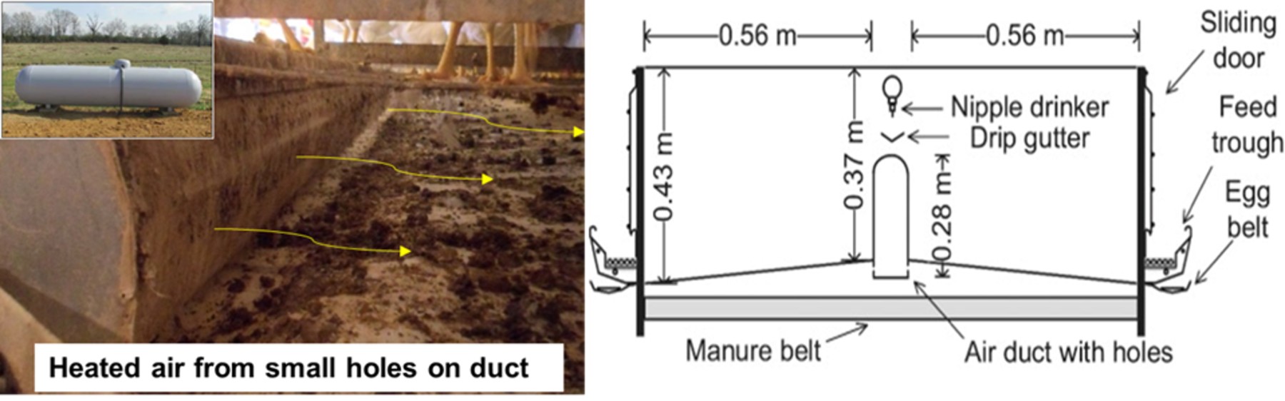 Manure Drying Methods in Layer Houses | Poultry Tips