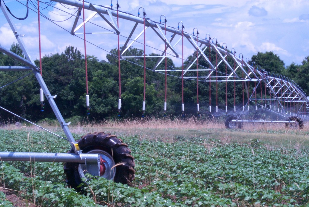 Water Conservation though Irrigation Evaluation | Water at UGA